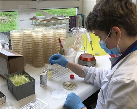 Project SEARCH success - Petroc College