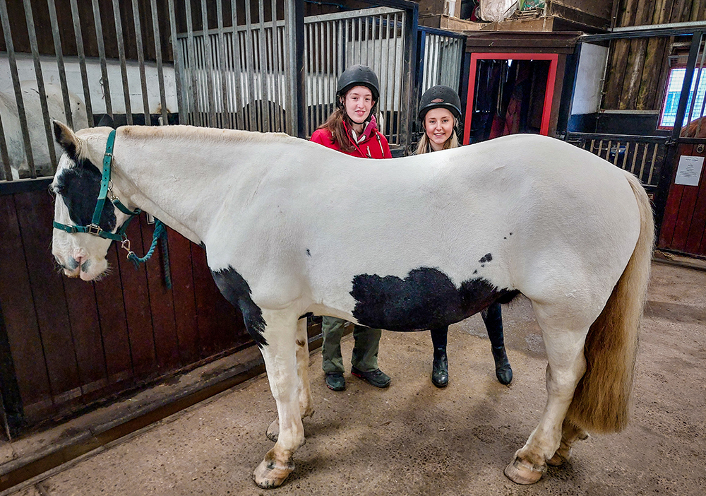 Animal Care Students Gain Hands-On Experience at Calvert Trust - North ...